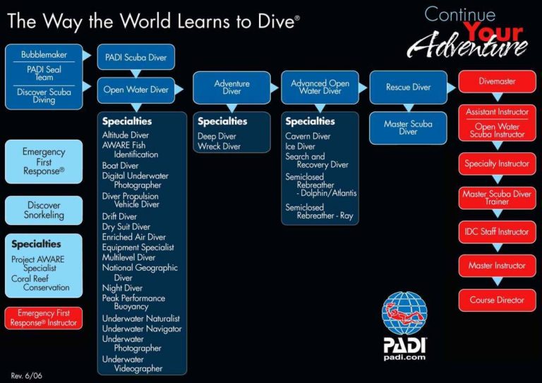 padi-flowchart - New Horizons Dive Centre
